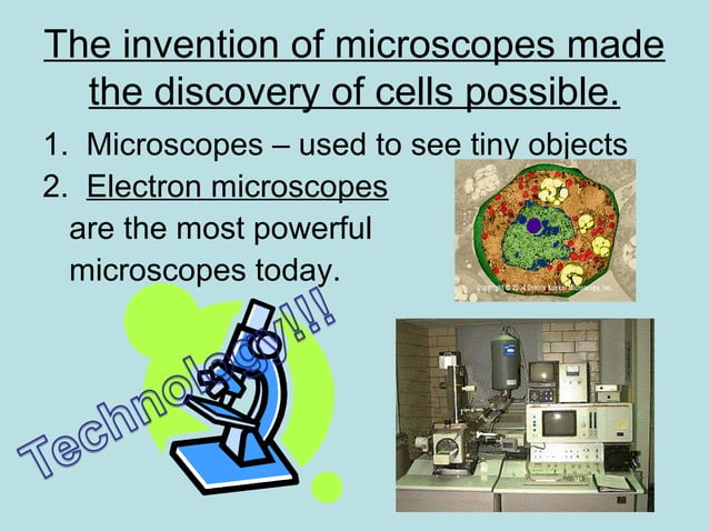 Cell theory | PPT