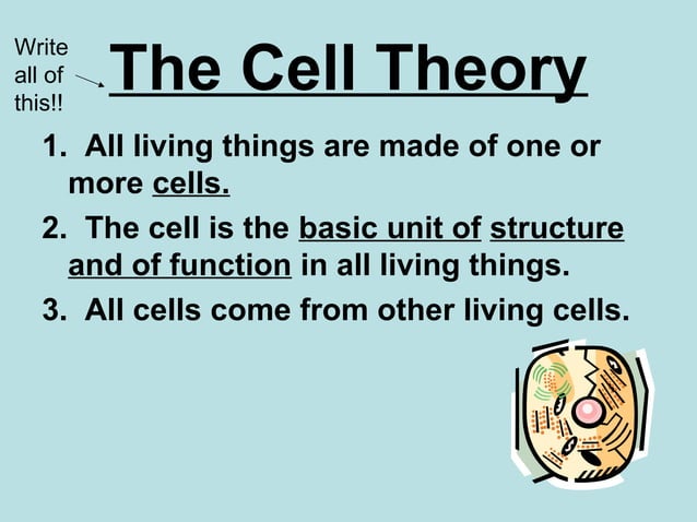 Cell theory | PPT