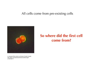 Cell theory 2 (pasteur) | KEY