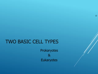celltheoryandbasics2014-141212134940-conversion-gate01.ppt.pptx