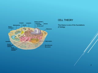 celltheoryandbasics2014-141212134940-conversion-gate01.ppt.pptx