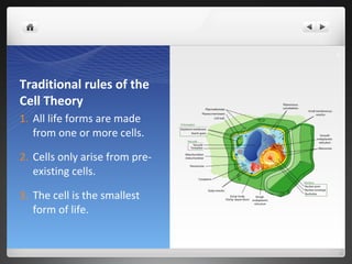 Cell Theory and Cell Basics 2014 | PPT