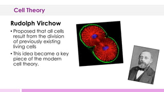 Cell_theory_and_Cell_Introduction.pptx