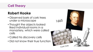 Cell_theory_and_Cell_Introduction.pptx