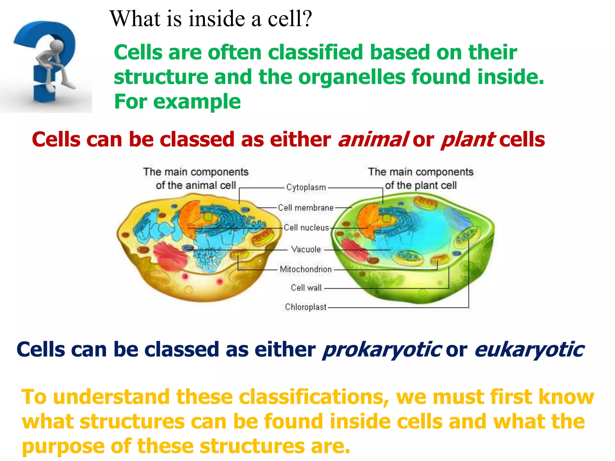Cell theory and organelles r1 | PPTX
