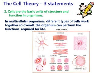 Cell theory and organelles r1 | PPTX