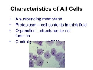 Cell theory and structure ppt | PPT