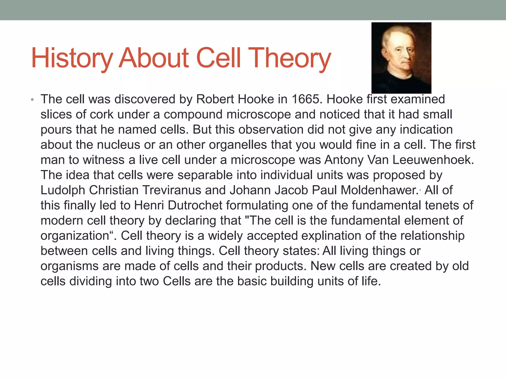 Cell Theory | PPTX