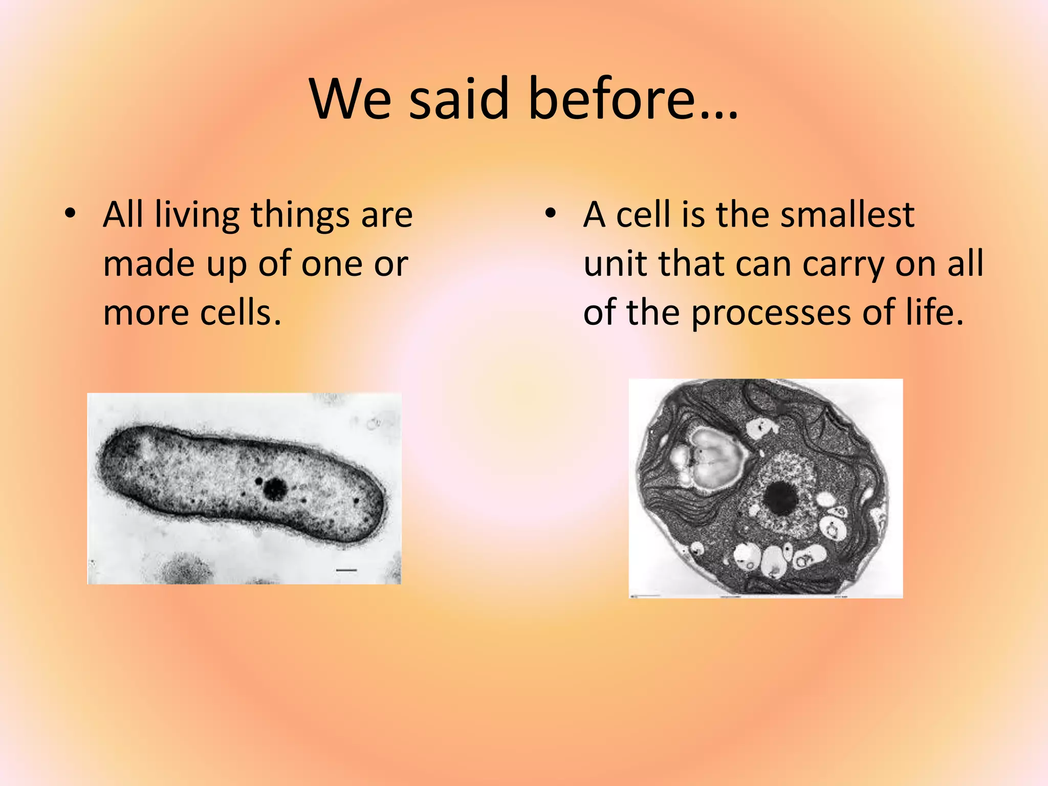 Cell theory intro to cells | PPT