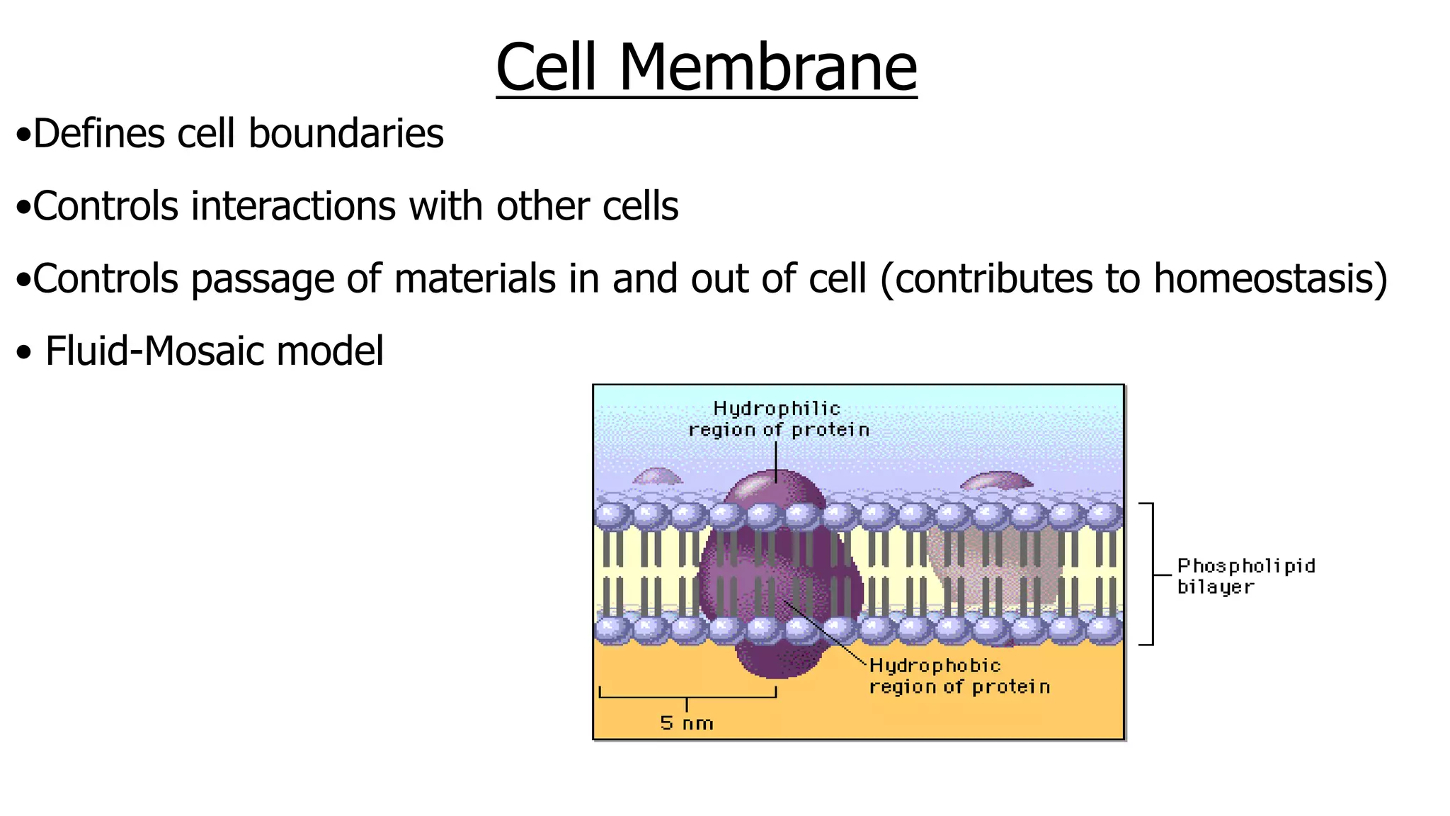 Cell theory membrane structure cell transport and important organelles ...