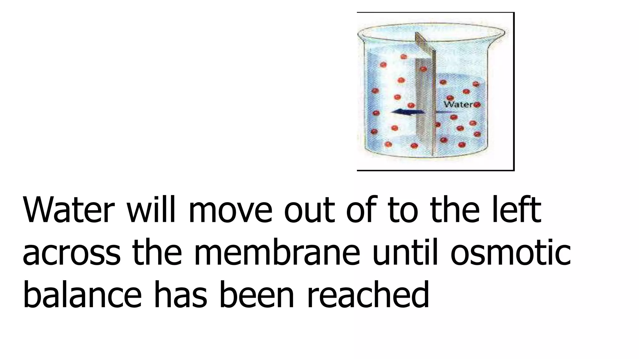Cell theory membrane structure cell transport and important organelles ...