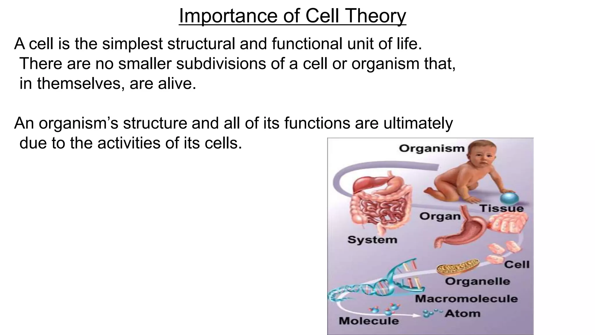 Cell theory membrane structure cell transport and important organelles ...