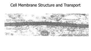 Cell theory membrane structure cell transport and important organelles ...