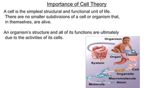 Cell theory membrane structure cell transport and important organelles ...
