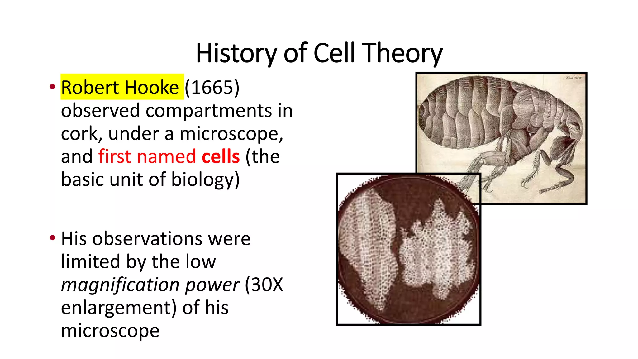 Cell Theory and Microscopy | PPTX