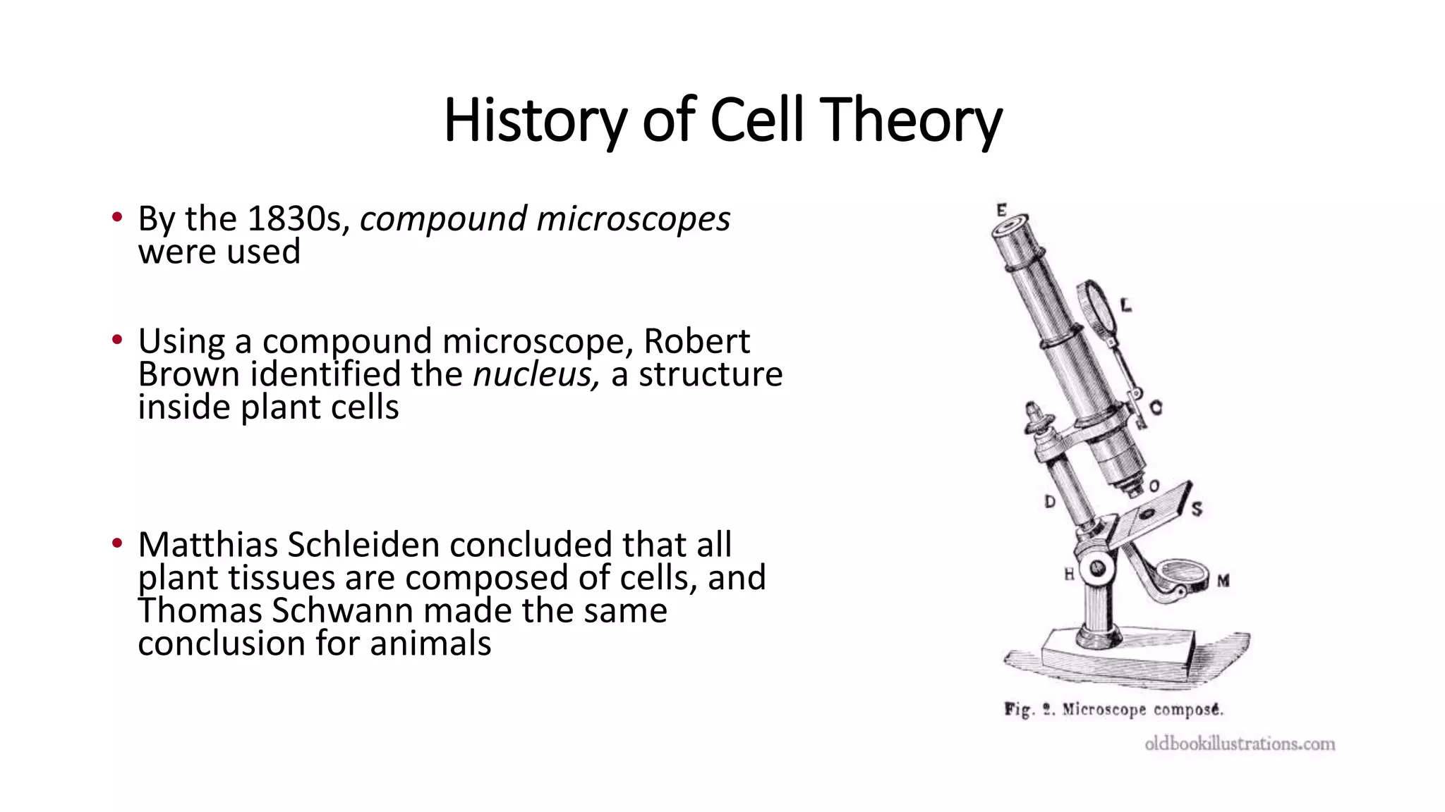 Cell Theory and Microscopy | PPTX