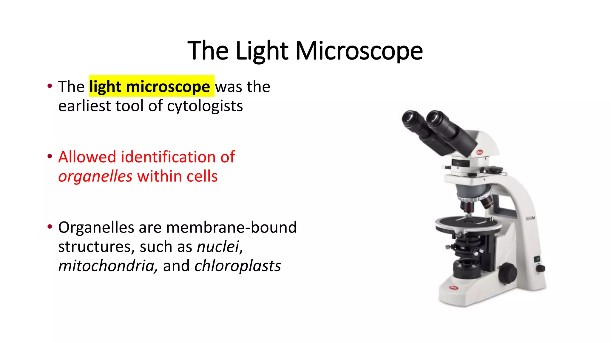 Cell Theory and Microscopy | PPTX