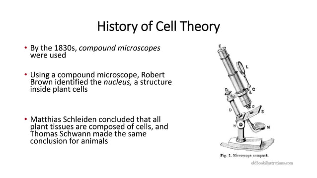 Cell Theory and Microscopy | PPTX