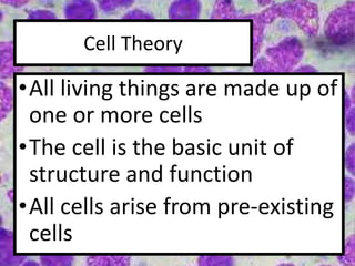 Cell theory notes | PPTX | Biological Sciences | Science