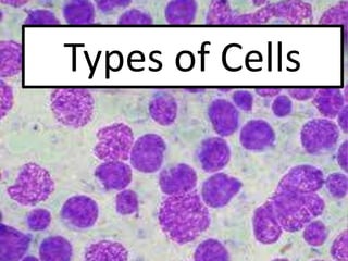 Cell theory notes | PPTX | Biological Sciences | Science