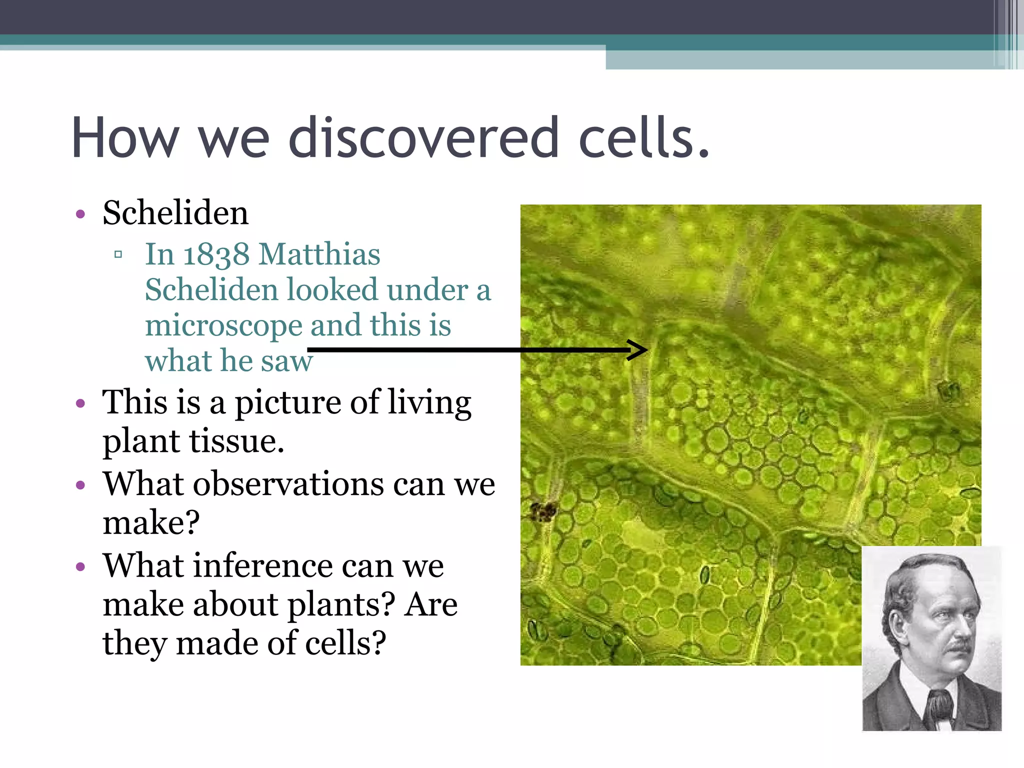Cell theory power point 2 | PPT