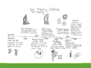 _Cell Theory _'Biology' _College Lesson_ | PPT