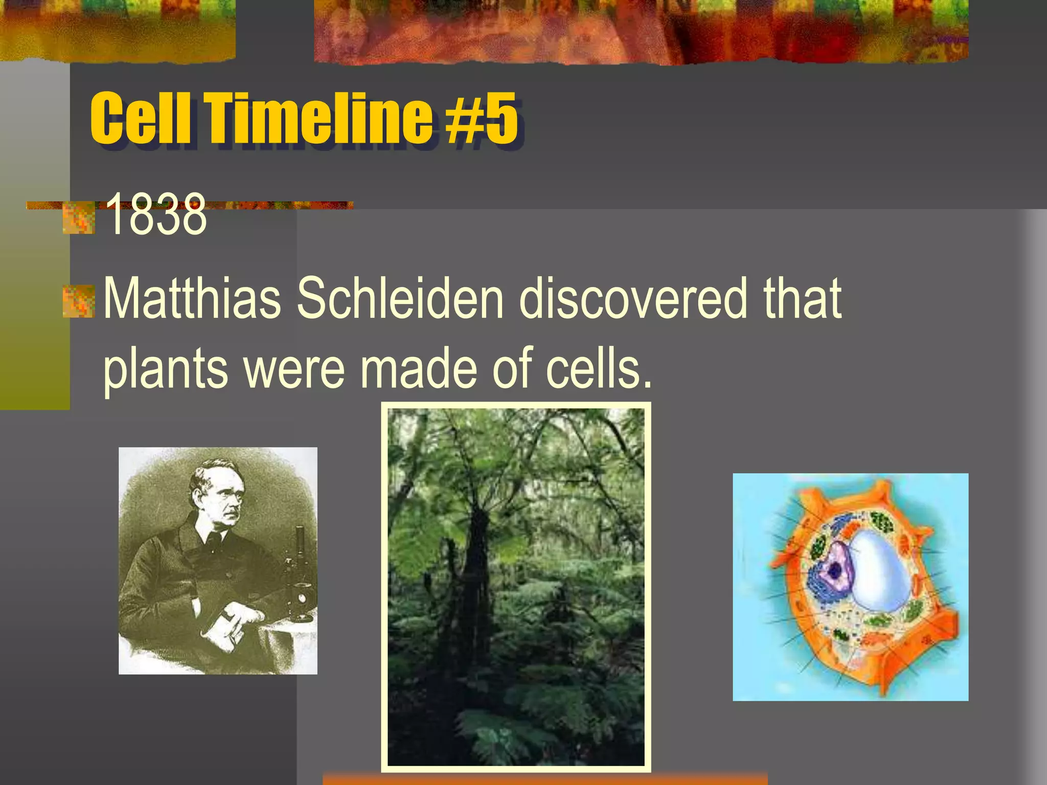 CellTheoryTimeline.ppt