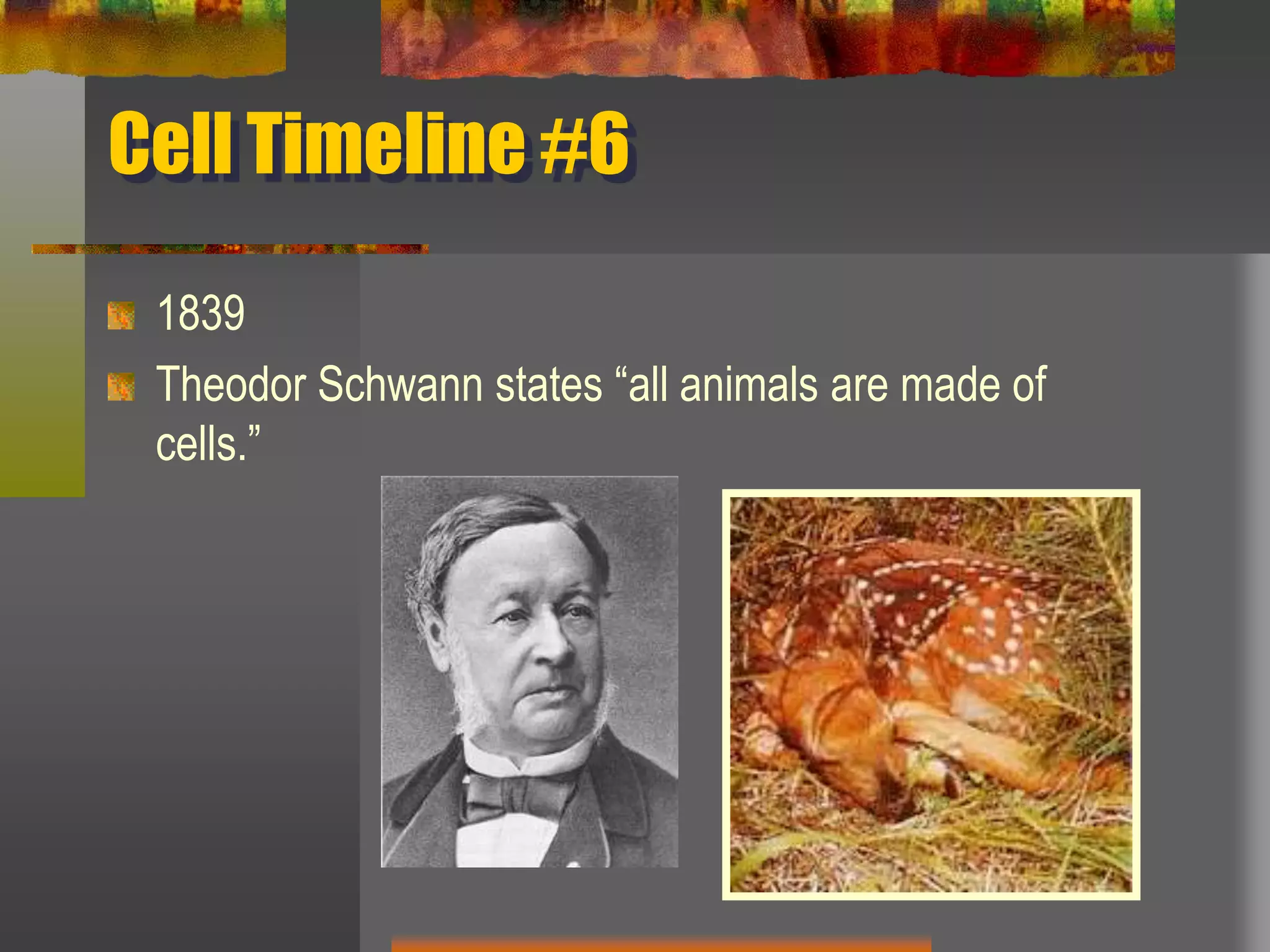 CellTheoryTimeline.ppt