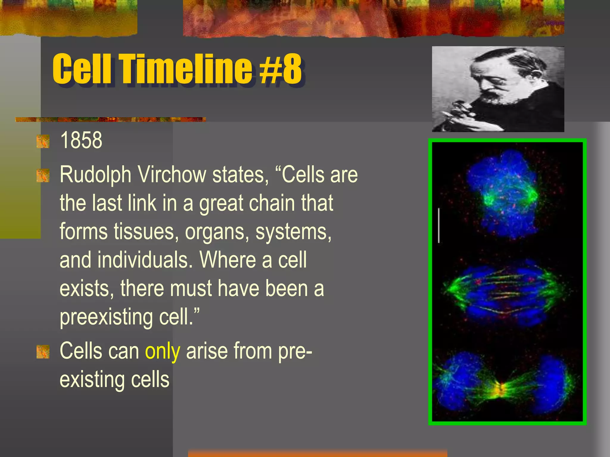 CellTheoryTimeline.ppt