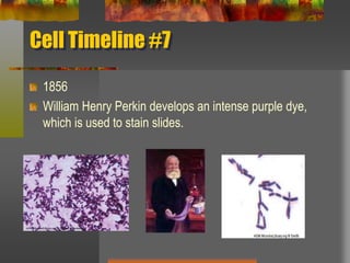 CellTheoryTimeline.ppt