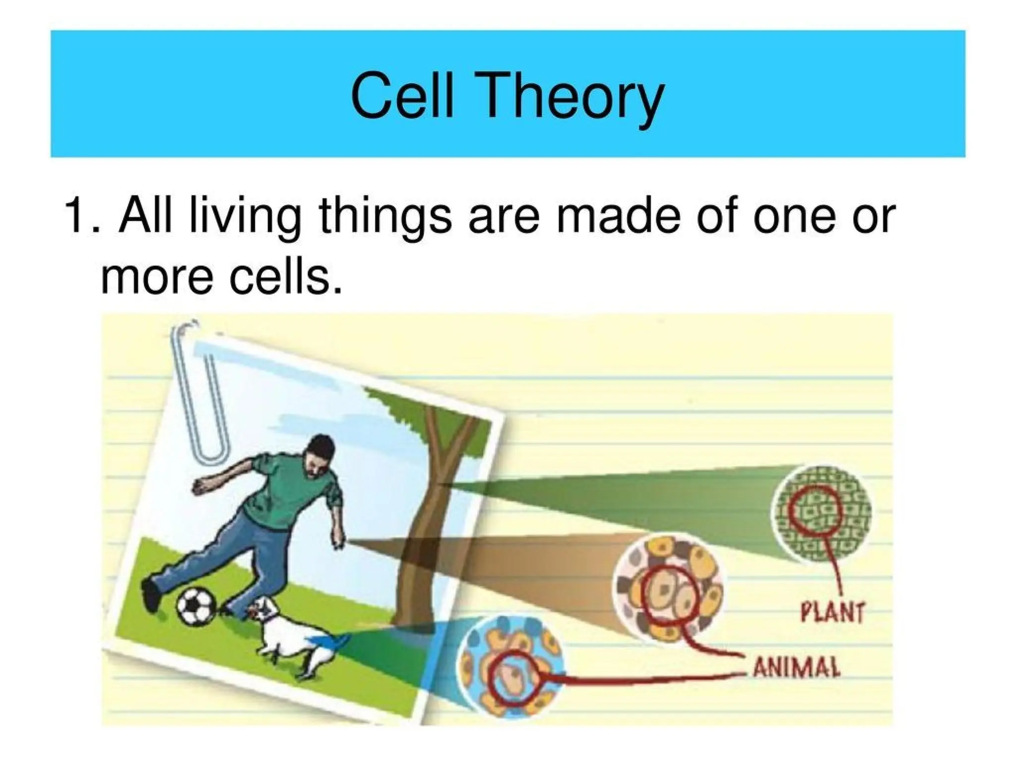 CELL, THEORY, TYPE OF CELL AND PARTS.pptx