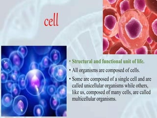 CELL, THEORY, TYPE OF CELL AND PARTS.pptx