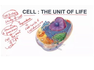 CELL THE UNIT OF LIFE CLASS 1 BIOLOGY CHAPTER 1 TILL LECTURE 02.pdf