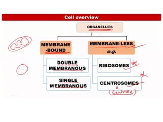 CELL THE UNIT OF LIFE CLASS 1 BIOLOGY CHAPTER 1 TILL LECTURE 02.pdf