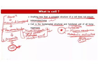 CELL THE UNIT OF LIFE CLASS 1 BIOLOGY CHAPTER 1 TILL LECTURE 02.pdf
