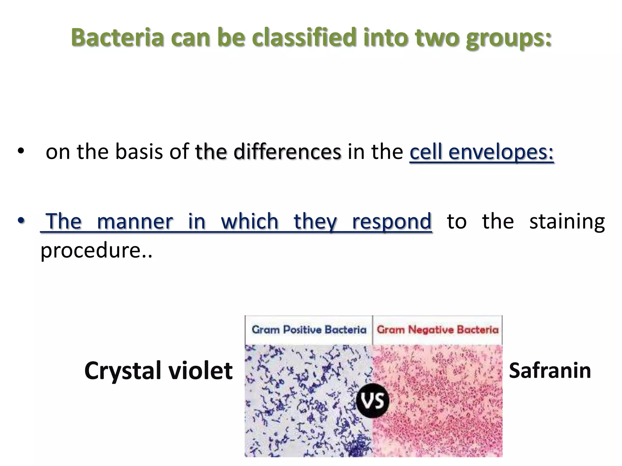 Cell the unit of life ncert cell envelop to cell membrane | PPT