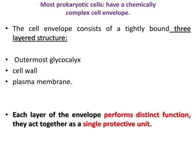 Cell the unit of life ncert cell envelop to cell membrane | PPT