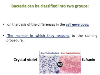 Cell the unit of life ncert cell envelop to cell membrane | PPTX