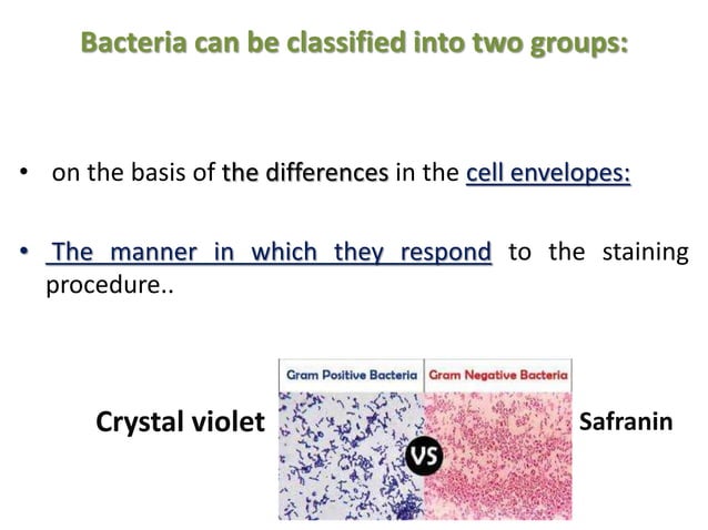 Cell the unit of life ncert cell envelop to cell membrane | PPT