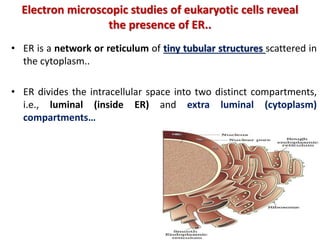 Cell the unit of life ncert cell wall to golgi complex | PPTX