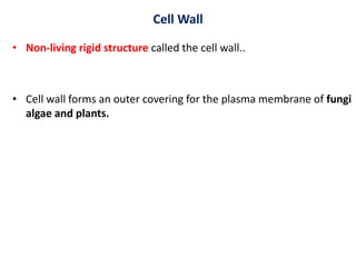 Cell the unit of life ncert cell wall to golgi complex | PPT