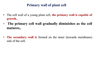 Cell the unit of life ncert cell wall to golgi complex | PPTX