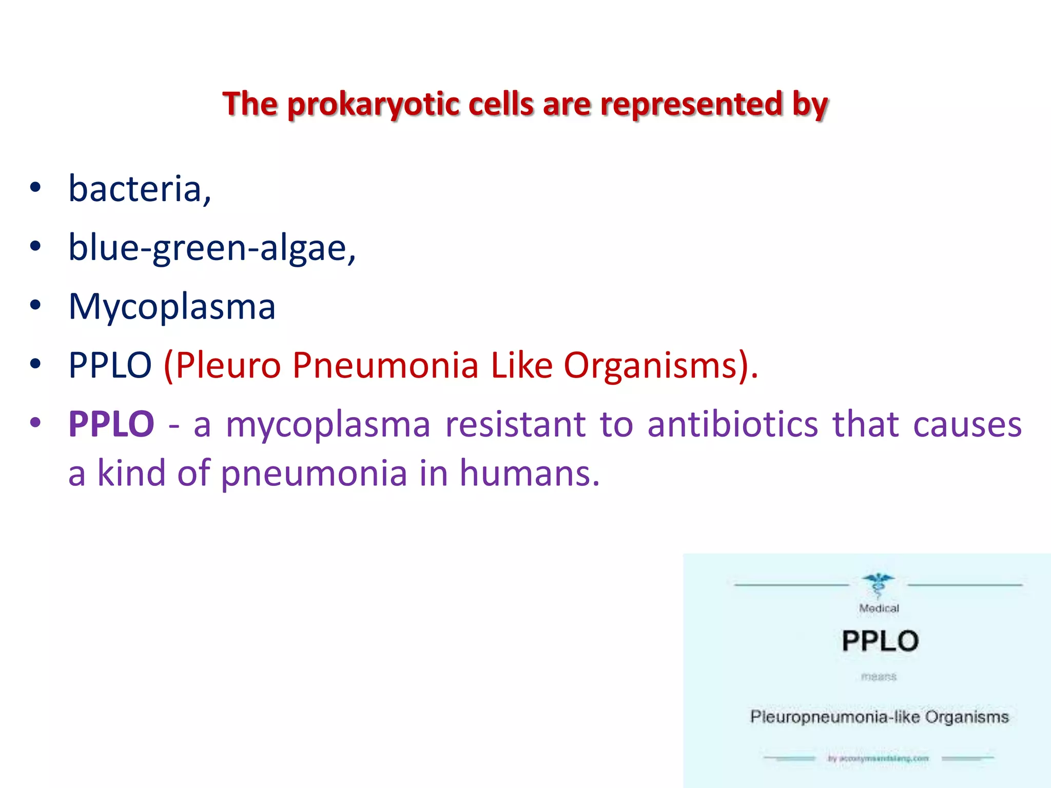 Cell the unit of life ncert introduction to prokaryotic cells | PPTX