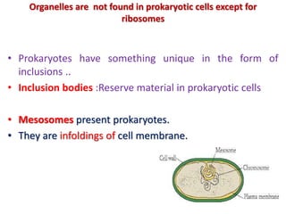 Cell the unit of life ncert introduction to prokaryotic cells | PPTX