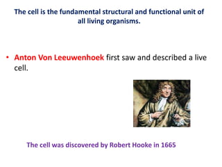 Cell the unit of life ncert introduction to prokaryotic cells | PPTX