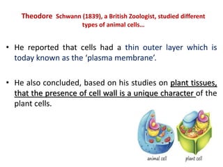 Cell the unit of life ncert introduction to prokaryotic cells | PPTX