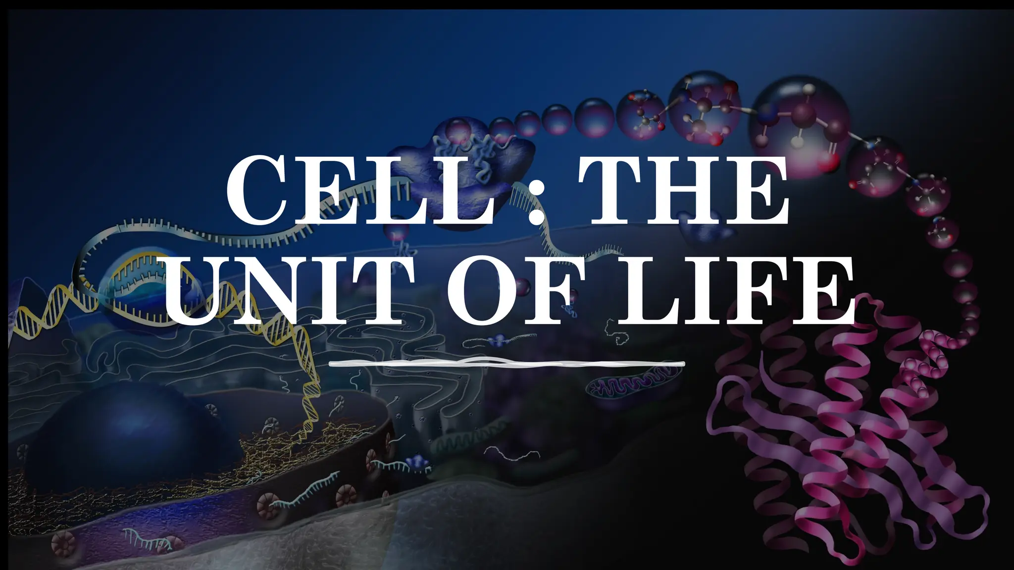 cell the unit of life (plant cell vs animal cell).pptx