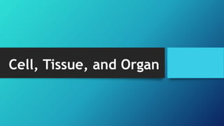 Cell, tissue and organs Presentation | PPT
