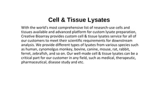Cell tissue lysates | PPT