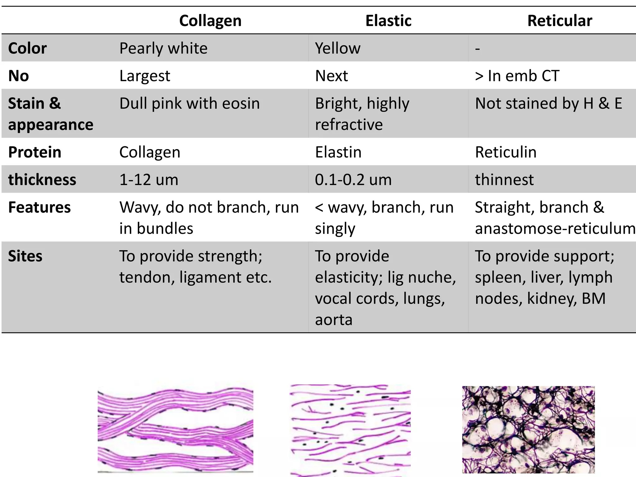 Cell & tissue nursing | PPTX